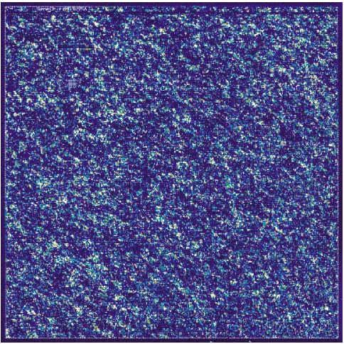 Microarray Affymetrix Chips • Genstat v22